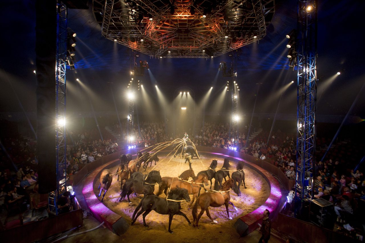 Le cheval, l'équitation de tradition française au cirque - ABC du Cheval
