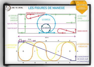 Épinglé par Simo Khan sur Cours equitation | Dressage cheval, Cours ...