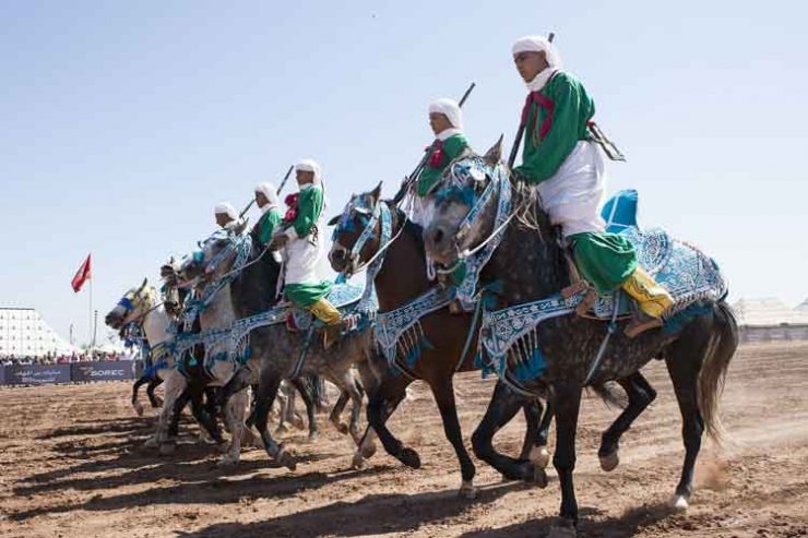 La Tbourida à l'Unesco - ABC du Cheval